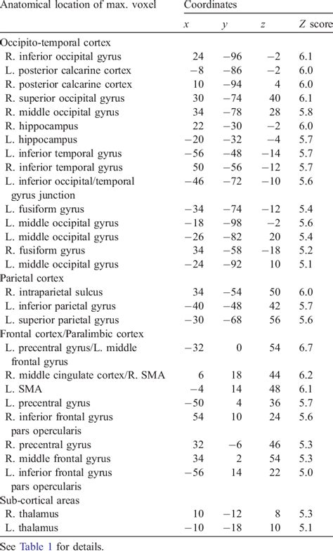 Brain Areas Activated During Perception Compared To Baseline P Corr B