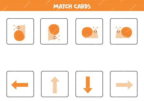 Premium Vector Left Right Up Or Down Spatial Orientation With Cute Snail