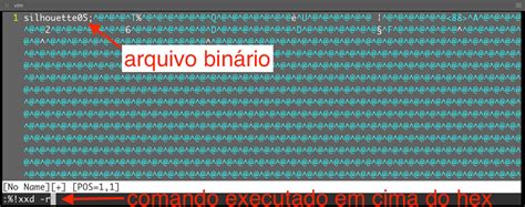 Como visualizar e editar arquivos binários usando xxd codamos br