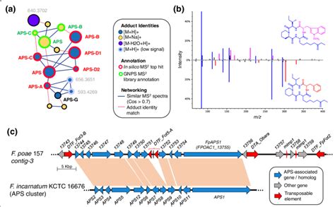 A Apicidin Aps Subnetwork Generated From Feature Based Molecular