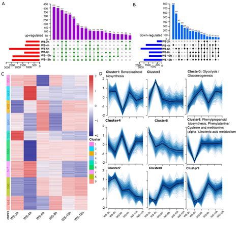 The Characteristics Of Differentially Expressed Protein Coding Genes Download Scientific