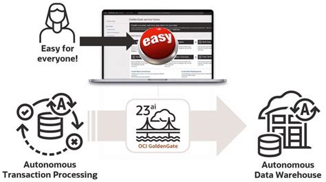 Oci Launches Zeroetl Mirror For Real Time Data Integrations Denis Gray Posted On The Topic