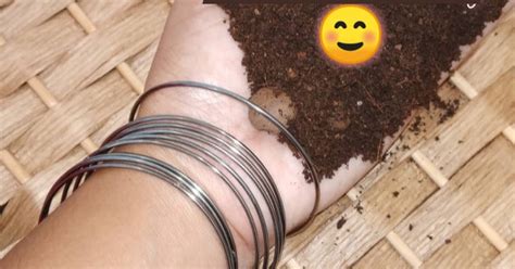 Quick Guide To Composting Methods 🍂🍁🪴