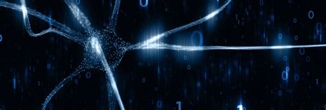 Computational Neuroscience Interdepartmental Graduate Program In