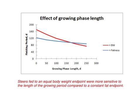 Ppt Stocker Programs Feedlot Performance And Carcass Merit