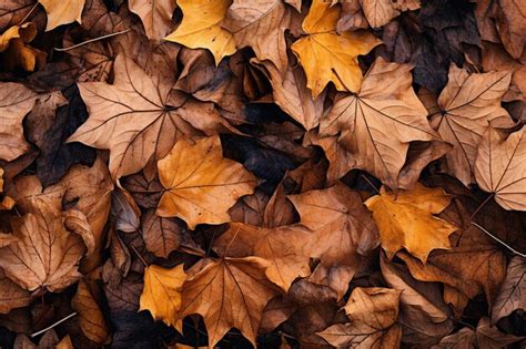 premium ai image autumn leaves aframe border