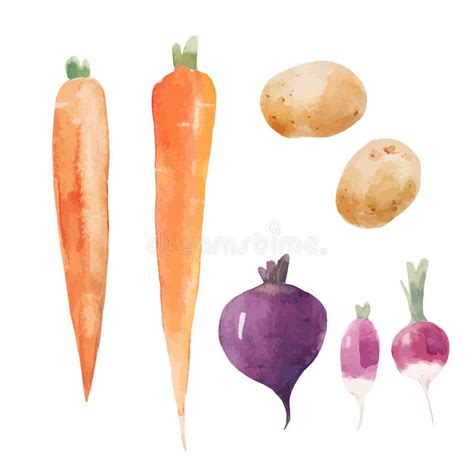Beautiful Vector Stock Clip Art Illustration With Hand Drawn Watercolor