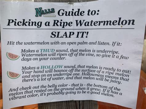 How To Pick A Good Watermelon R Coolguides