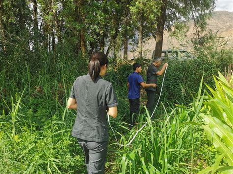 【我为群众办实事】田间地头审案件 便民利民解纠纷澎湃号·政务澎湃新闻 The Paper
