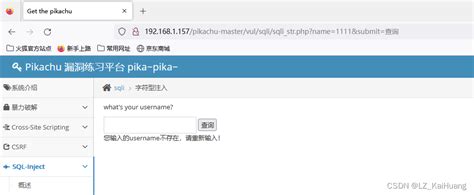 pikachu靶场通关笔记 sql inject sql注入 sql注入靶场 csdn博客