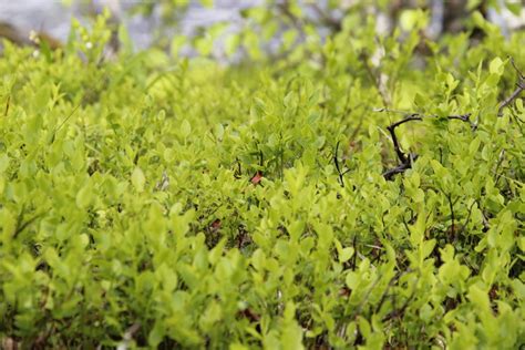 На машине из Москвы в Карелию — день на острове часть 3