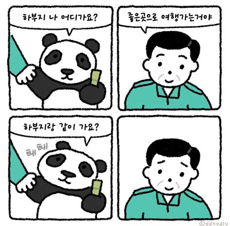 더쿠 영원한 아기판다 푸바오