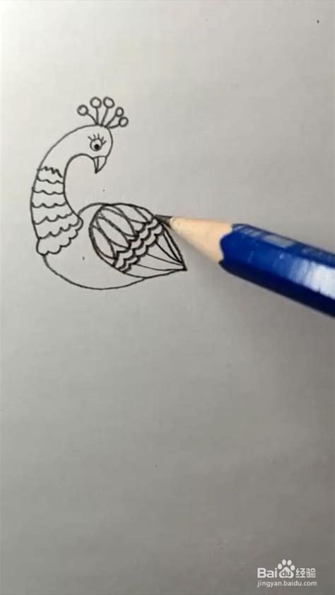 孔雀简笔画数字 简笔画图片大全 普车都