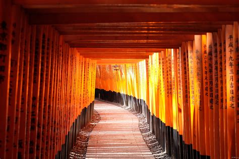 Fushimi Inari Пикабу