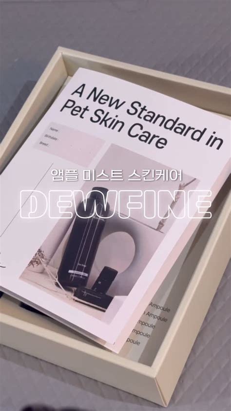 비비 스탠다드푸들 블랙공주 우리집 포켓”멍” 가방털이중🤫 Instagram