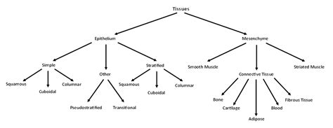 Diagram Technicalities Basement Obsidian Forum