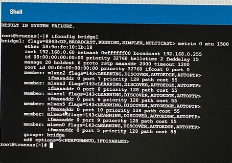 Trouble With Gb Bridge Setup Using TrueNAS GUI TrueNAS Community
