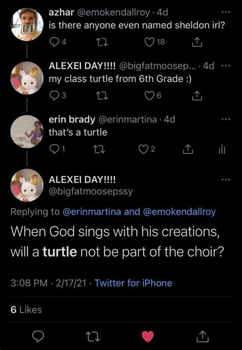 When God Sings With His Creations Will A Turtle Not Be Part Of His