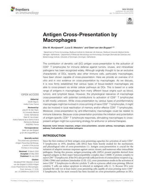 Pdf Antigen Cross Presentation By Macrophages