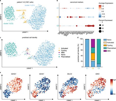 Single Cell Rna Sequencing Of Tumor Infiltrating B Cells A Umap