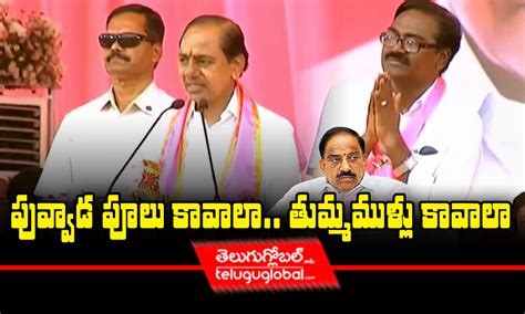 పువ్వాడ పూలు కావాలా తుమ్మ ముళ్లు కావాలా కేసీఆర్‌ Cm Kcr Satires On
