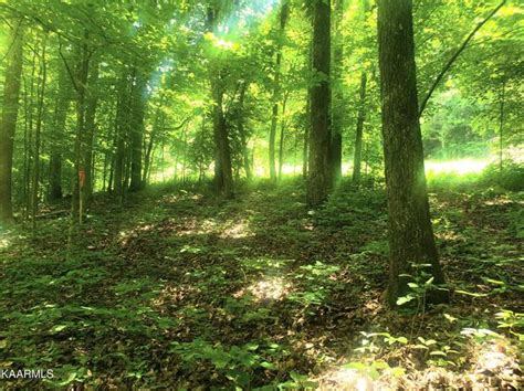 Lenoir City Tn Land And Lots For Sale 96 Listings Zillow