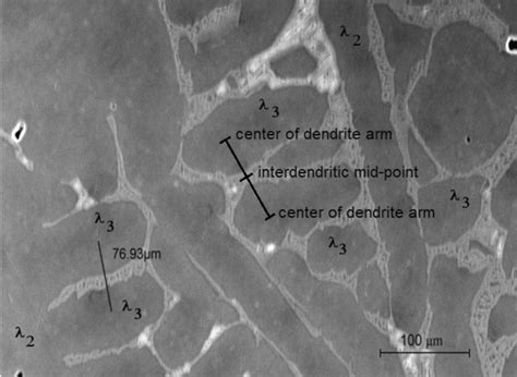 Track Adopted For Measurements Of Microsegregation And Download
