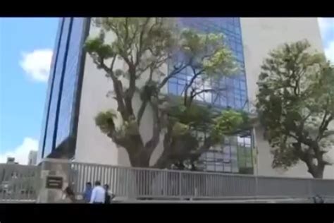 Al Assad Peeroo On Linkedin The Legal Aspects Of Controlled Delivery