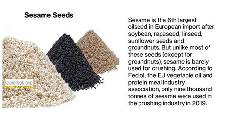 Exporting Grains Pulses Oilseeds Ppt