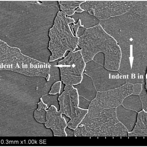 Schematic Presentation Of The Positions For Micro Indentation
