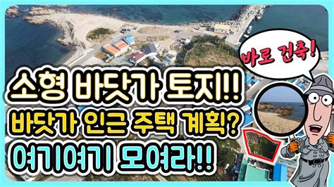 바닷가 소형 토지 매매 포항 바닷가땅 매매 포항 바닷가 주택 부지 바닷가 집터 포항 부동산 매물 바닷가 땅 매매 바닷가 토지 매물 바닷가 매물 포항 부동산tv