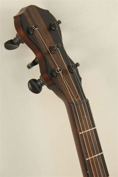 148 12 Walnut Custom 6 String Banjo Seeders Instruments