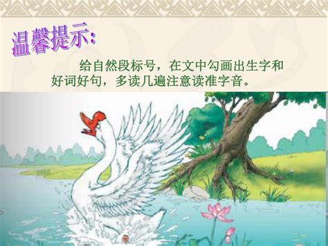 最新审定新人教版四年级语文上册白公鹅PPT课件公开课PPT课件 精品 word文档在线阅读与下载 无忧文档