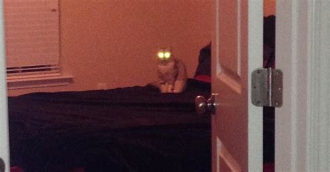She Will Eat Your Soul Imgur