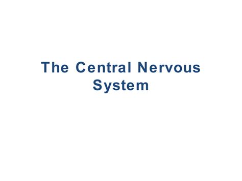 5 Cns 1 Ppt
