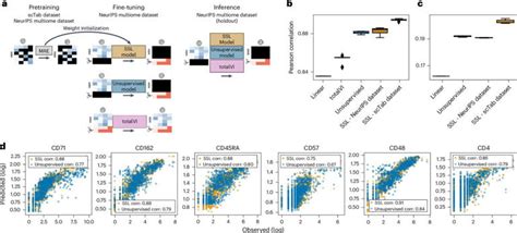 Self Supervised Learning Approach Can Test 20 Million Cells Or More