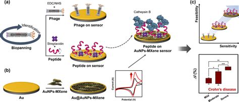 Schematic Work Flow Of The Affinity Based Electrochemcial Sensor Used