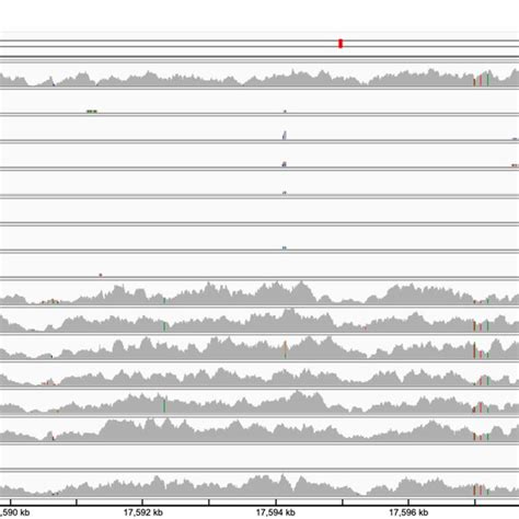 Comparison Of Eq And Presenceabsence Of P5 Sequence In Download