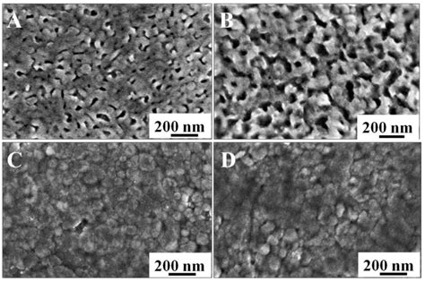 Morphology Of Mo Bvo And Mo Bvo C Before And After 4h And 10 H J T