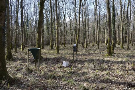 Intensive Forest Monitoring Scientific Publications Reports And Presentations Forest Research
