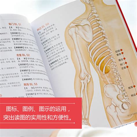 生活 人体经络穴位图册精绘大图版人体经络穴位图标准大图册超清晰人体经络穴位图解书人体经络中医按摩穴位图解大全书籍虎窝淘