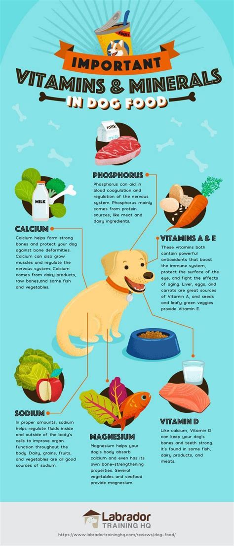 Printable Dog Safe Food Chart