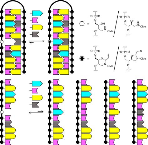 Chembiochem Vol 26 No 1 Chemistry Europe
