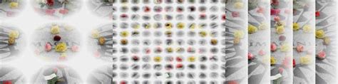 Css Clipping And Masking Examples And Observations Vanseo Design