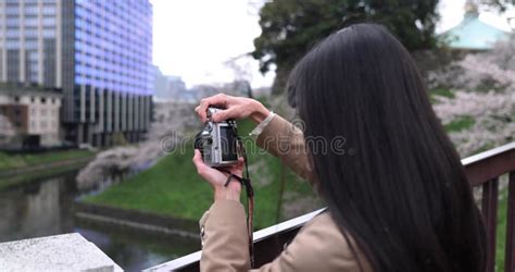 A Portrait Of Japanese Woman Shooting By Mirrorless Camera Behind Cherry Blossom Handheld Stock
