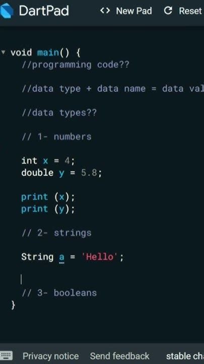 strings datatype datatypes data dart programming language strings