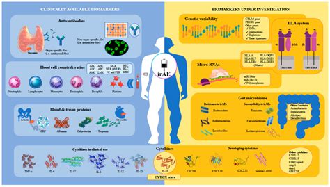 Graphical Representation Of Different Families Of Predictive Biomarkers