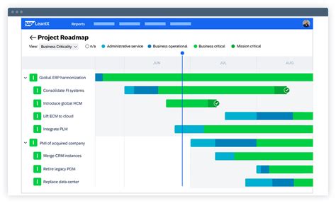 Sap Application Portfolio Management