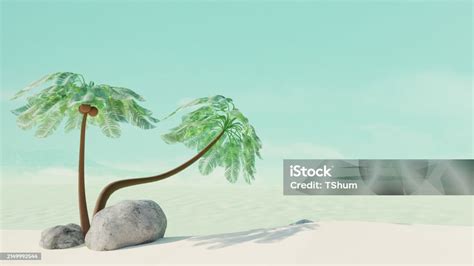 코코넛 야자수와 돌이 있는 빈 여름 열대 해변 여름 여행 컨셉입니다 3d 렌더링 앞 View 0명에 대한 스톡 사진 및 기타 이미지 Istock
