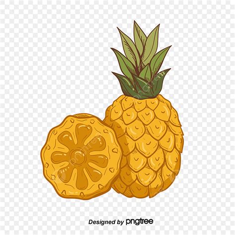 Pineapple Clip Art Outline